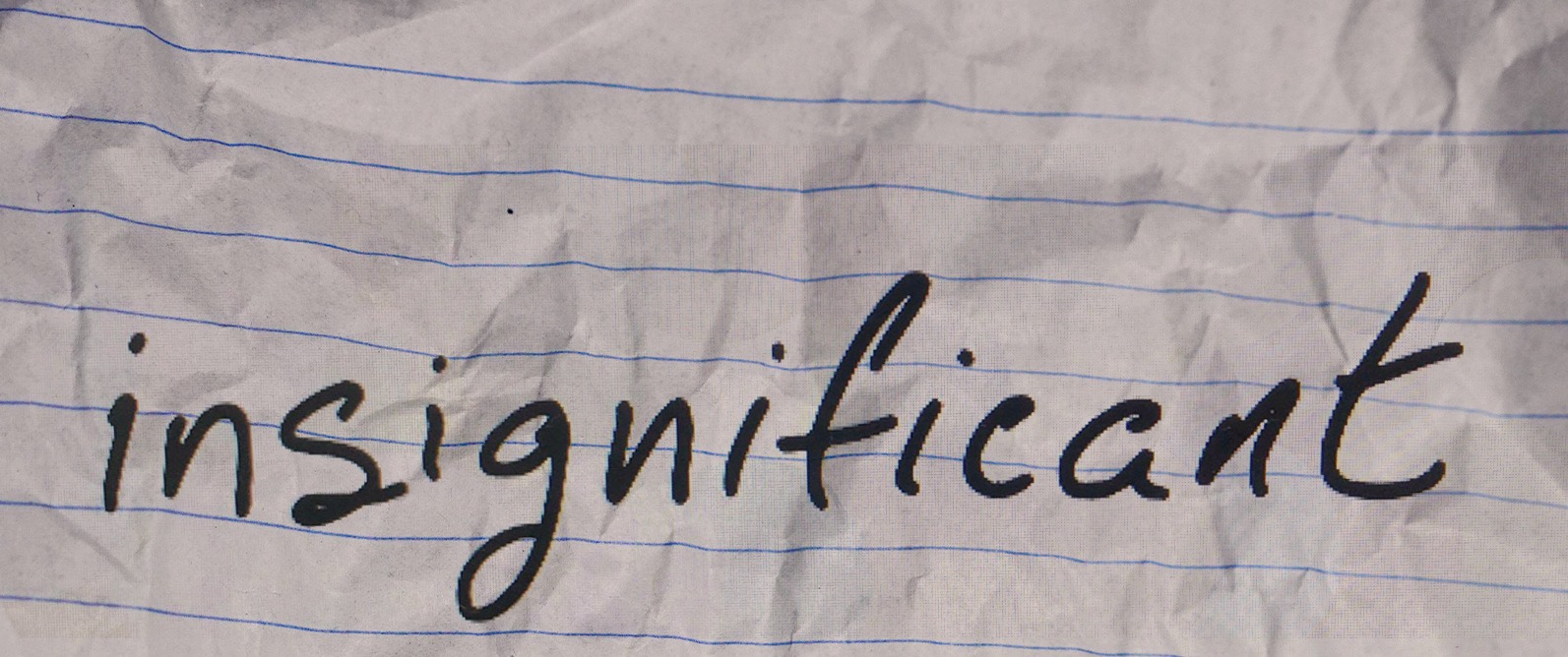 Introducing the Cast of Insignificant – Covered Sun Films